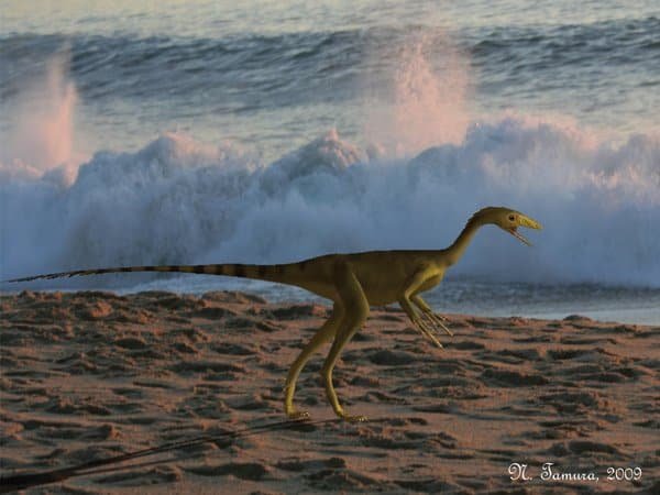 Compsognathus Size