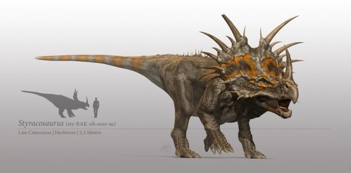 Stygimoloch • Dinosaurs - Pictures and Facts