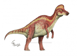 Corythosaurus