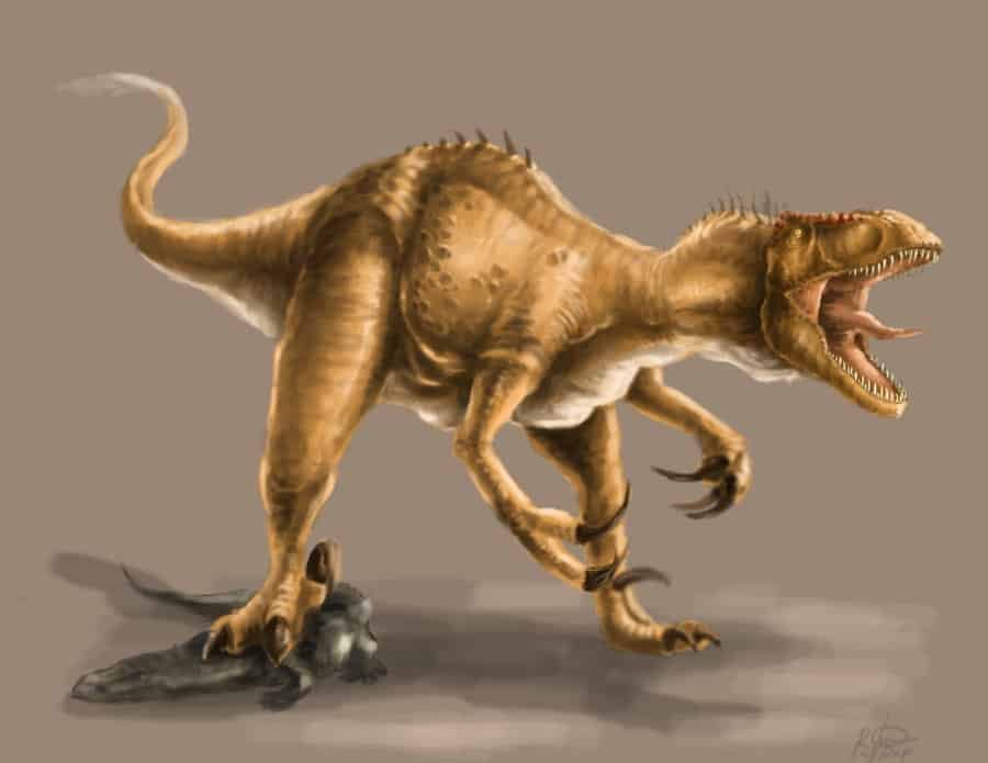 Megaraptor Size