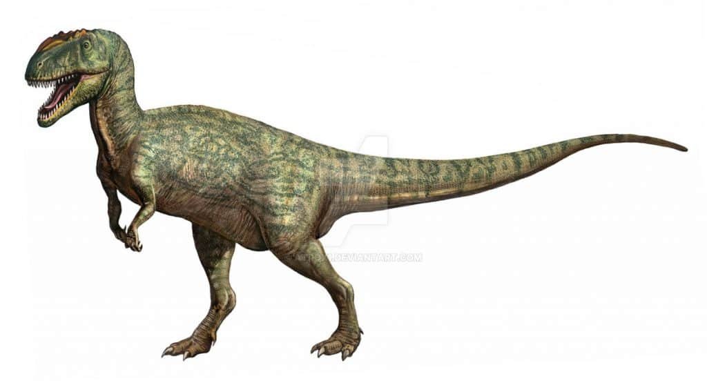 Metriacanthosaurus - Facts and Pictures