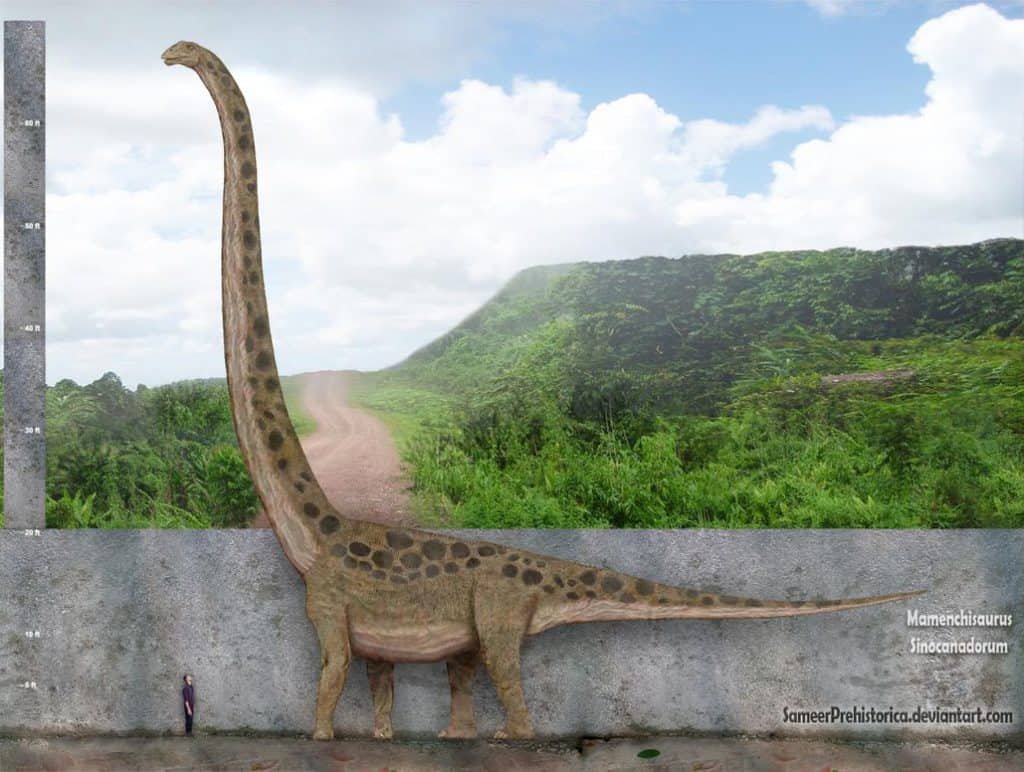 Mamenchisaurus - Facts and Pictures