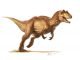 Allosaurus - Facts and Pictures