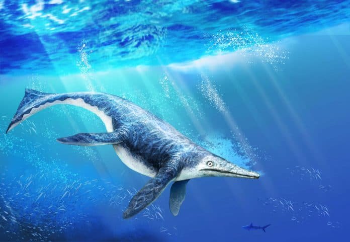 Shastasaurus - Facts and Pictures