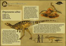 Dryosaurus: Weight, Length, and Characteristics