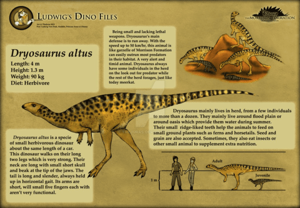Dryosaurus: Weight, Length, and Characteristics