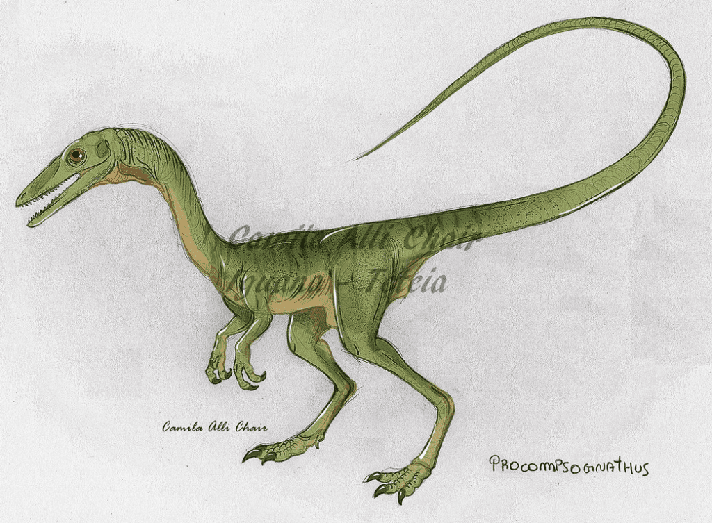 Compsognathus - Facts and Pictures