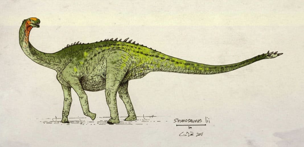Shunosaurus - Facts and Pictures