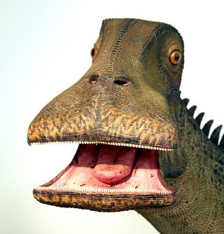 Nigersaurus (the dinosaur with 500 teeth!)
