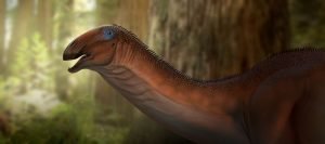 Nigersaurus (the dinosaur with 500 teeth!)
