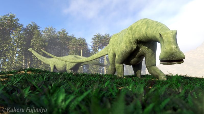 Nigersaurus (the dinosaur with 500 teeth!)